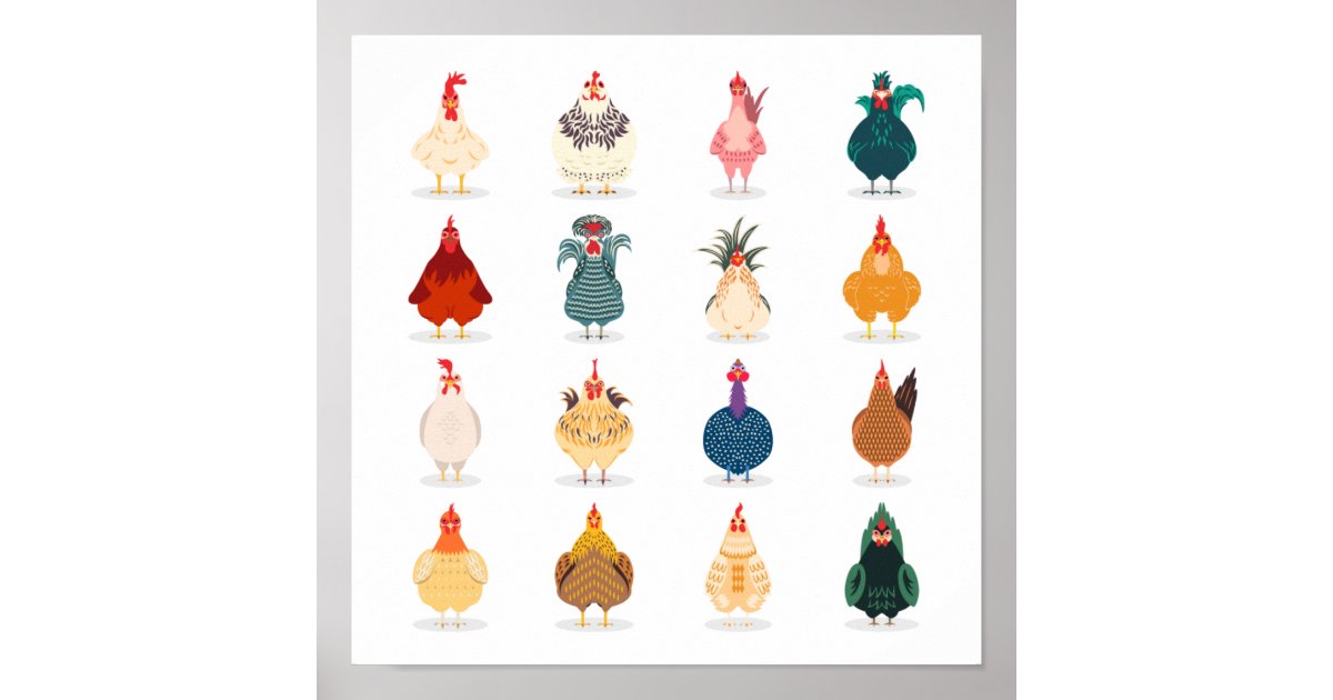 Cute Chicken Poster | Zazzle