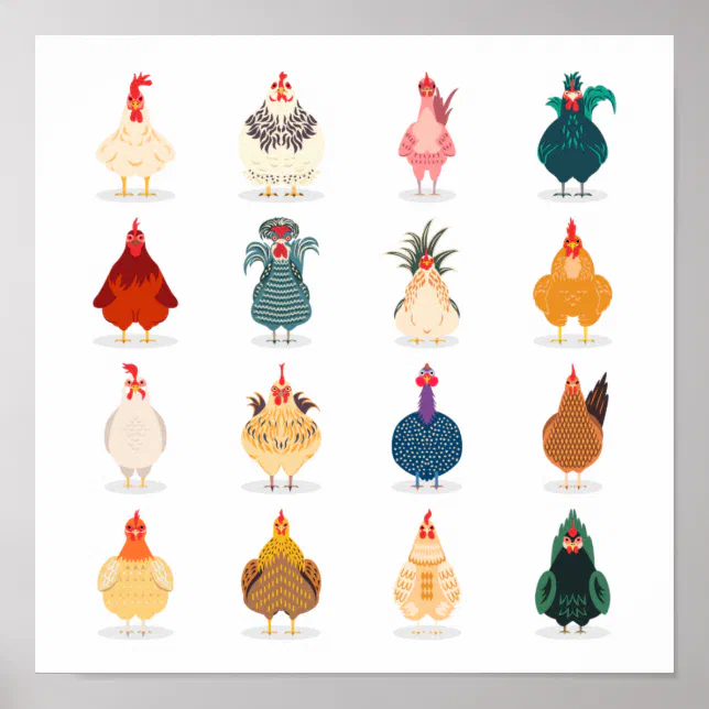 Cute Chicken Poster | Zazzle