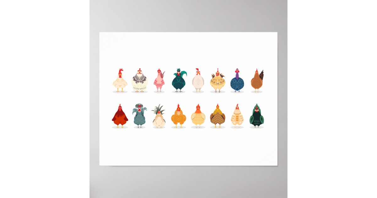 Cute Chicken Poster | Zazzle