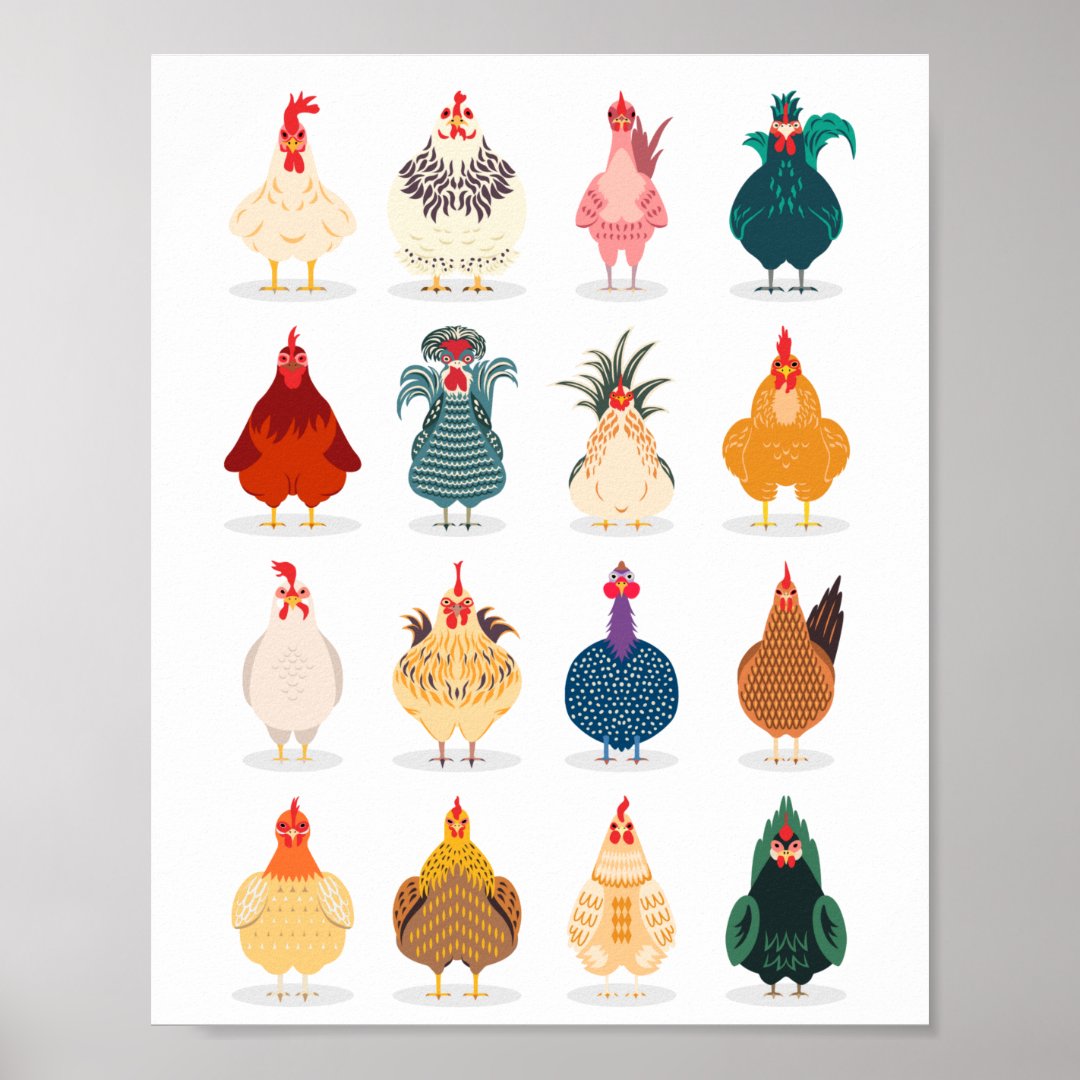 Cute Chicken Poster | Zazzle