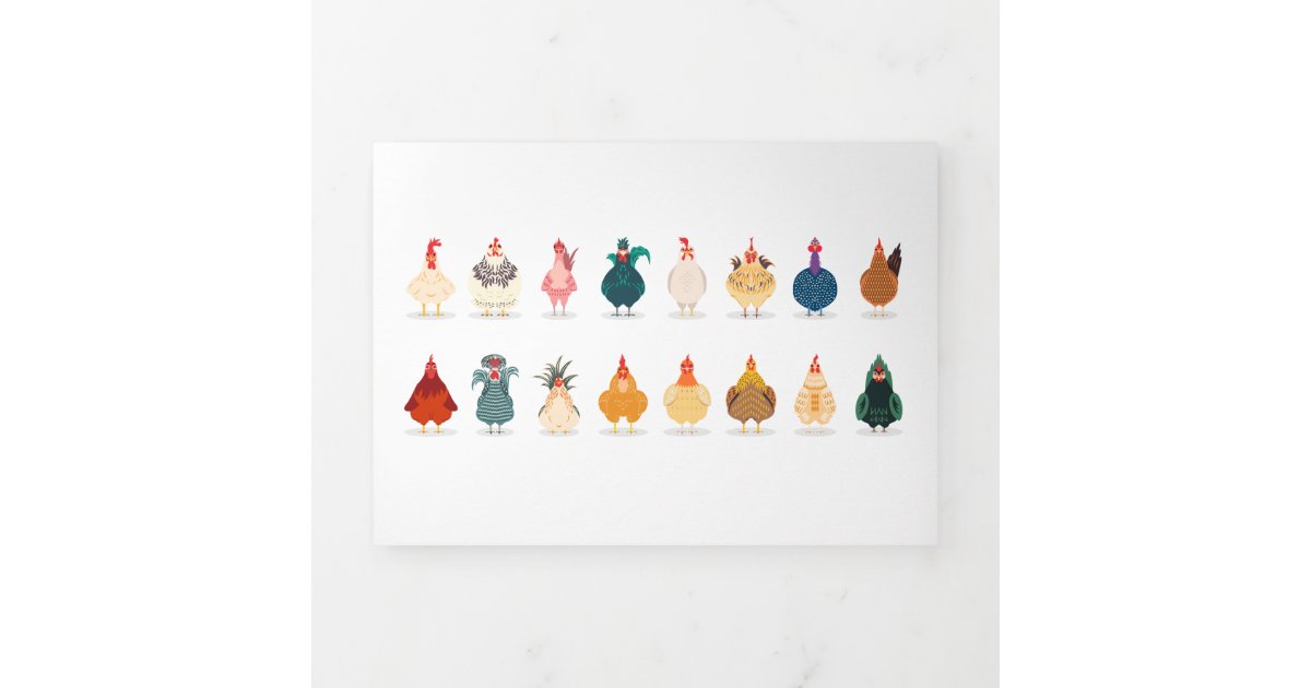 Cute Chicken Tri-Fold Card | Zazzle