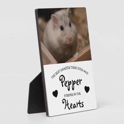 Cute Children's Pet Memorial Plaque | Zazzle