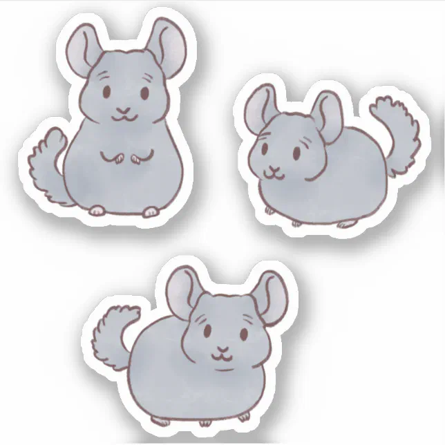 Cute Chinchillas Sticker | Zazzle