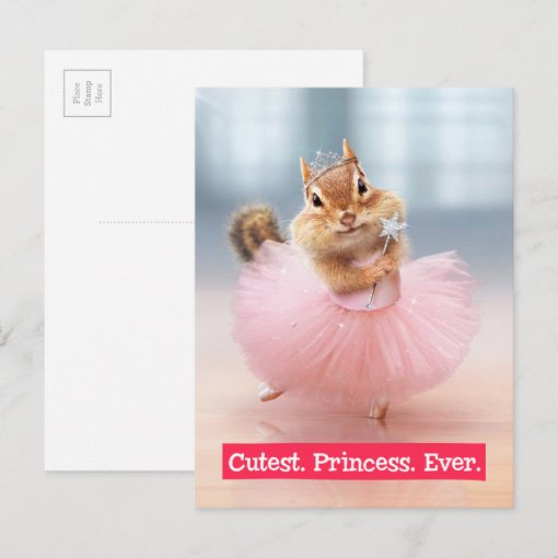 Cute Chipmunk Ballerina in tutu at Dance Studio Postcard | Zazzle