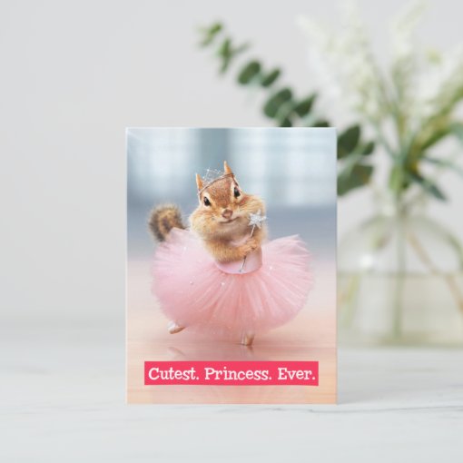 Cute Chipmunk Ballerina in tutu at Dance Studio Postcard | Zazzle