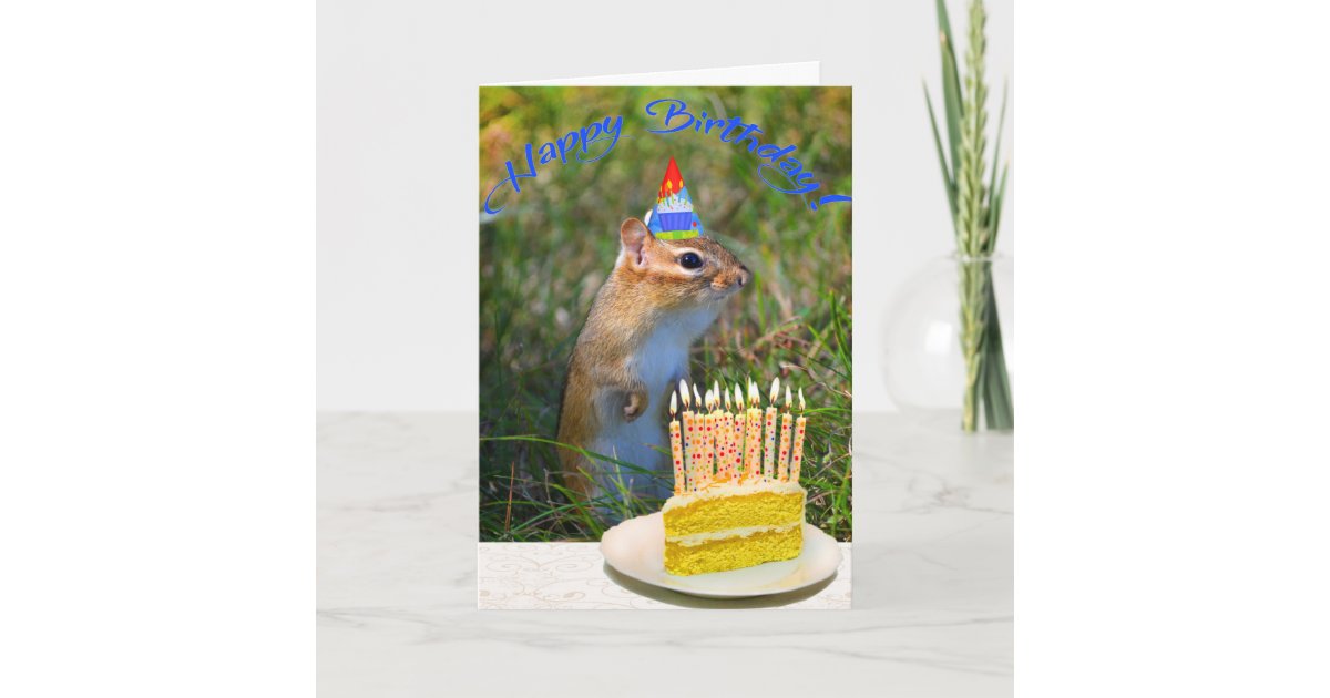 Cute chipmunk in party hat birthday card | Zazzle.com