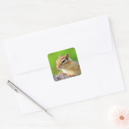 Cute Chipmunk Square Sticker | Zazzle