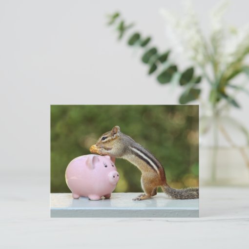 Cute Chipmunk with Funny Money Piggy Bank Picture Postcard | Zazzle