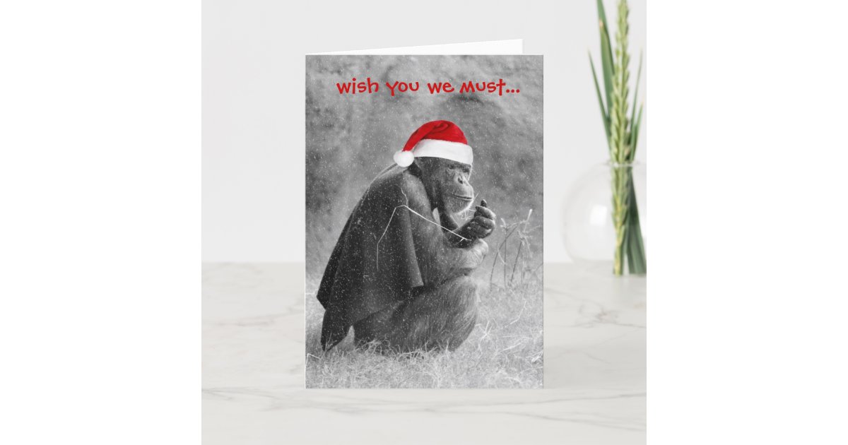 Cute Christmas Card "Yoda-like" Chimp! | Zazzle