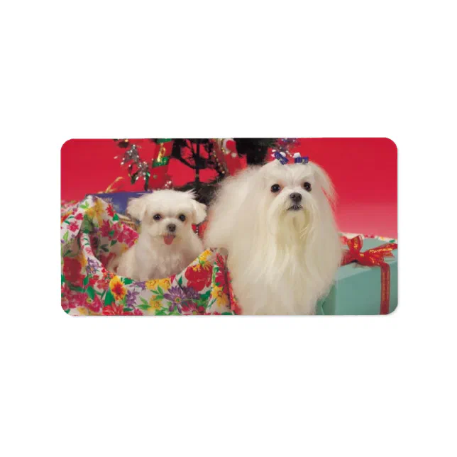Cute Christmas Dogs Puppies Label Stickers | Zazzle
