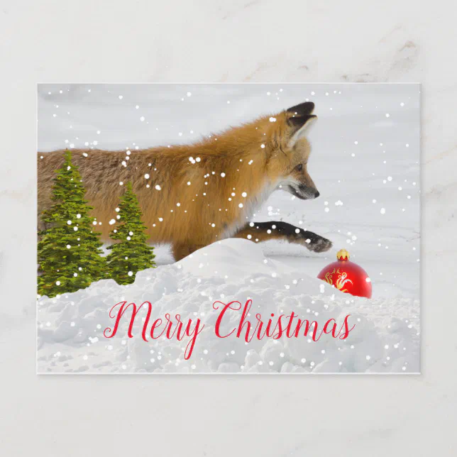 Cute Christmas Fox and Red Ornament Postcard | Zazzle