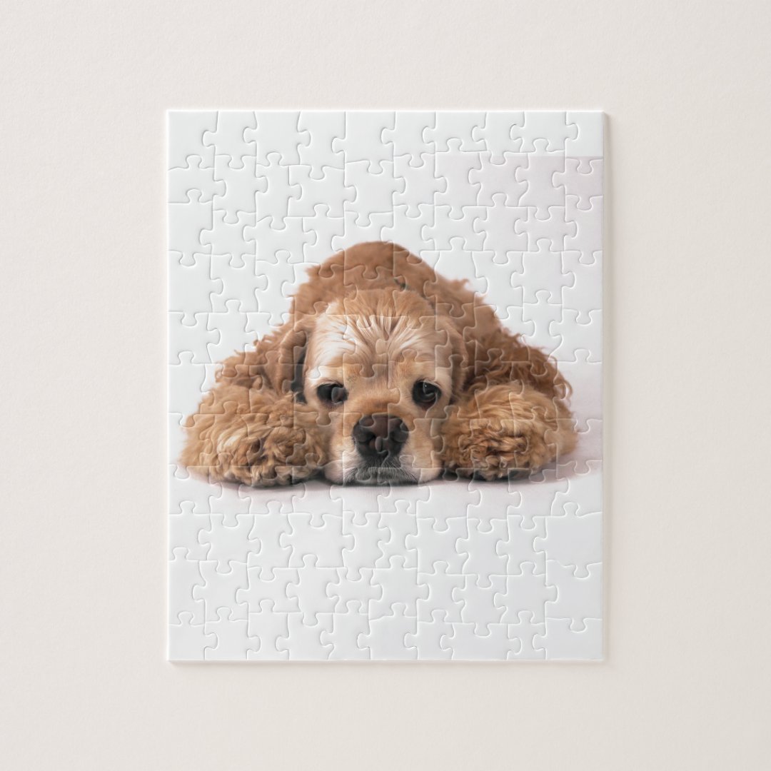 Cute Cocker Spaniel Jigsaw Puzzle | Zazzle