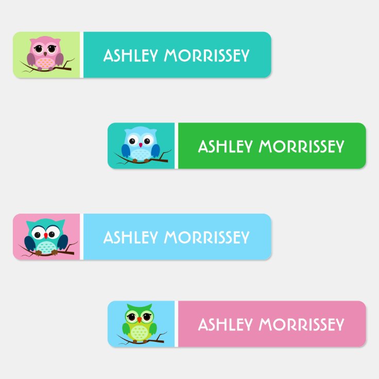 Cute Colorful Owl Kids Name Labels | Zazzle