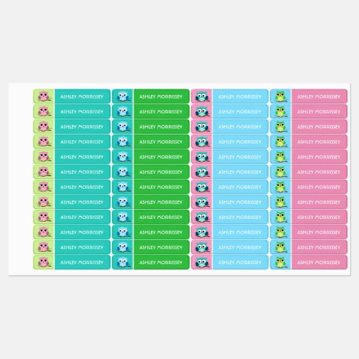 Cute Colorful Owl Kids Name Labels | Zazzle