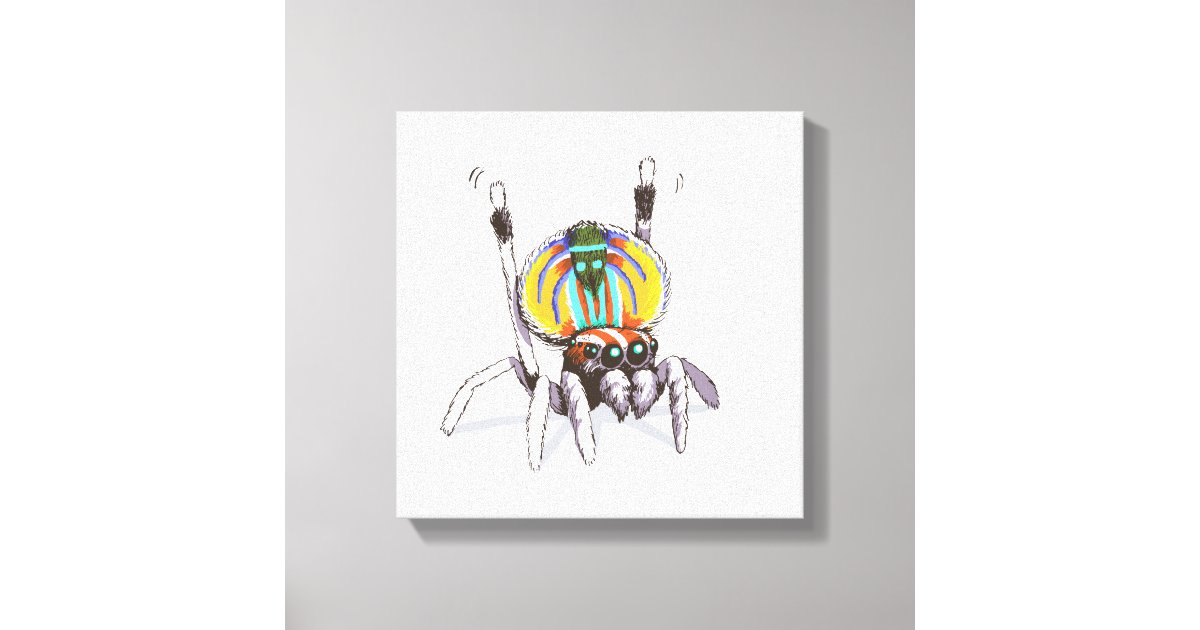 Cute Colorful Peacock Spider Drawing Art Canvas | Zazzle