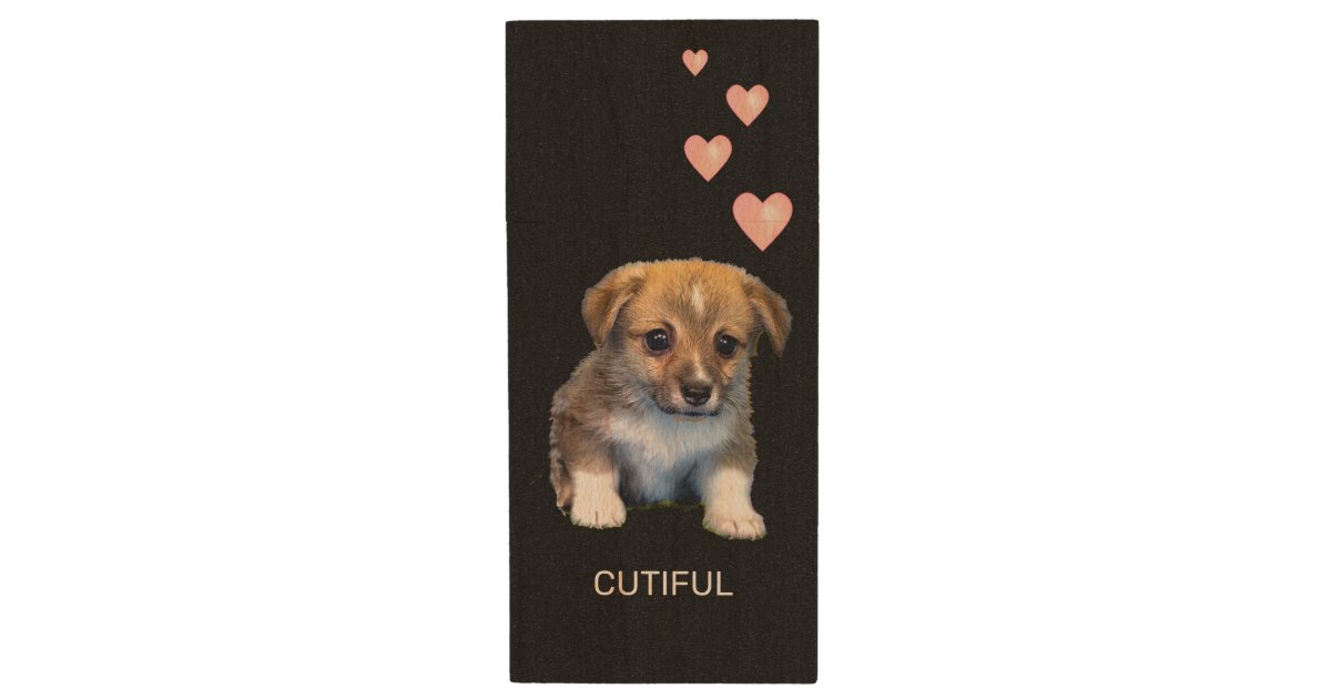 Cute Corgi Puppy Dog & Hearts on Black Wood Flash Drive | Zazzle