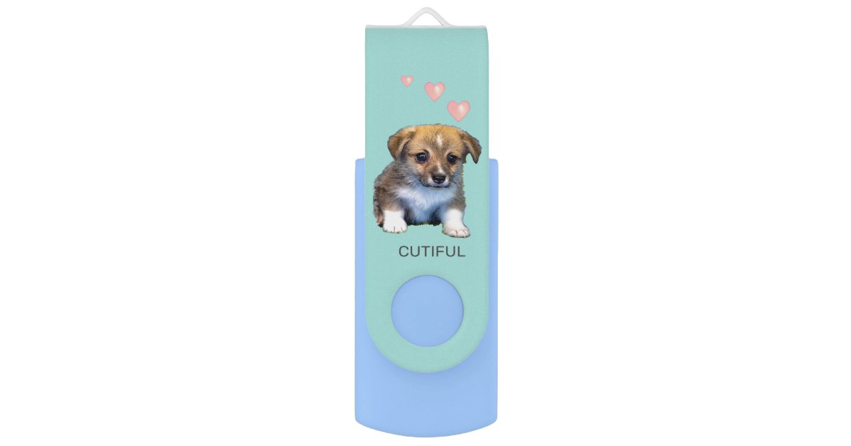 Cute Corgi Puppy Dog & Hearts on Light Blue Flash Drive | Zazzle