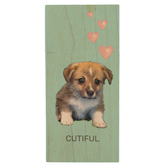 Cute Corgi Puppy Dog & Hearts on Light Blue Wood Flash Drive | Zazzle