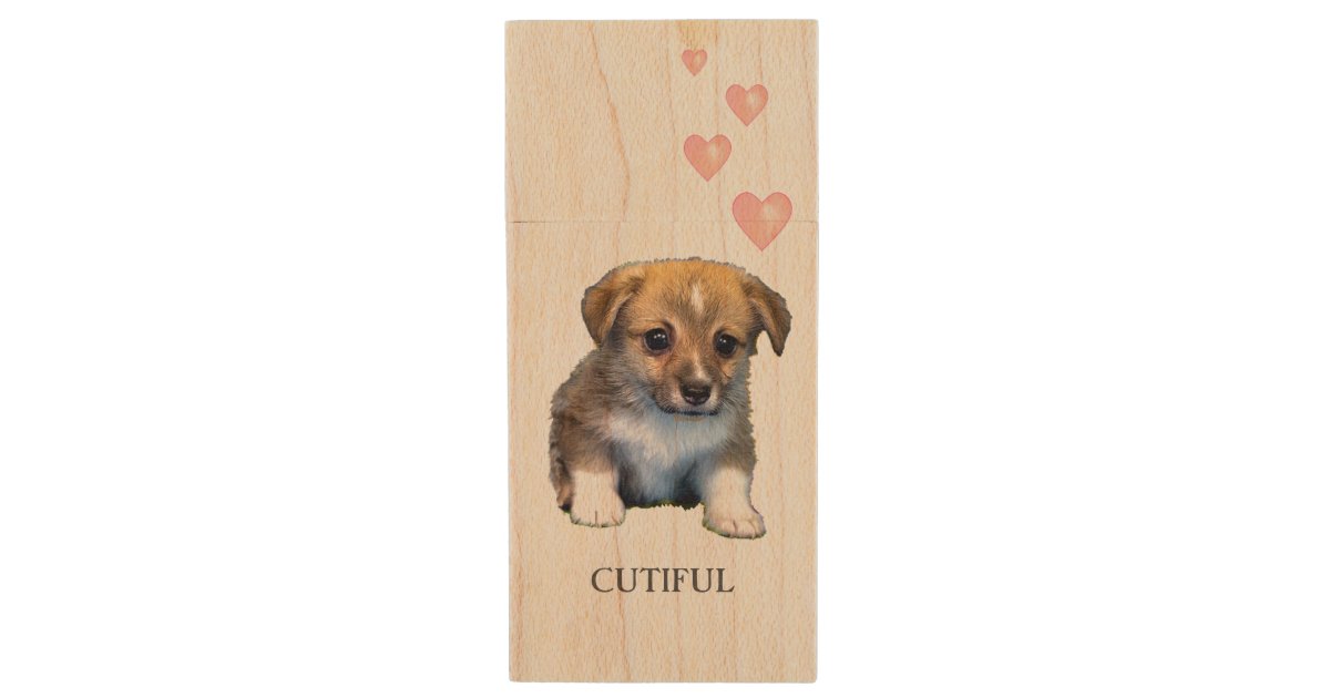 Cute Corgi Puppy Dog & Hearts Wood Flash Drive | Zazzle