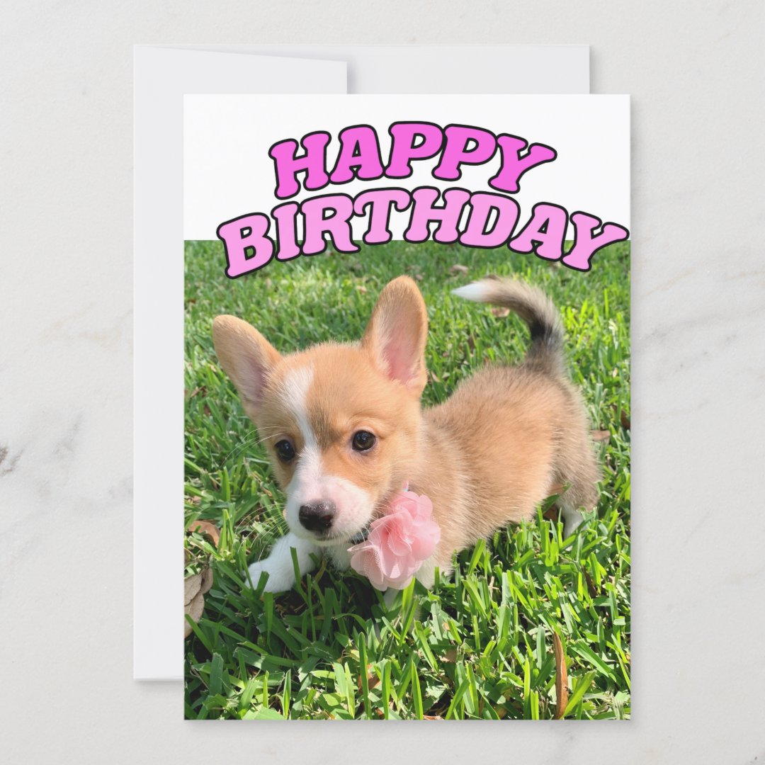 Cute Corgi Puppy Dog Photo Pink Happy Birthday Card | Zazzle