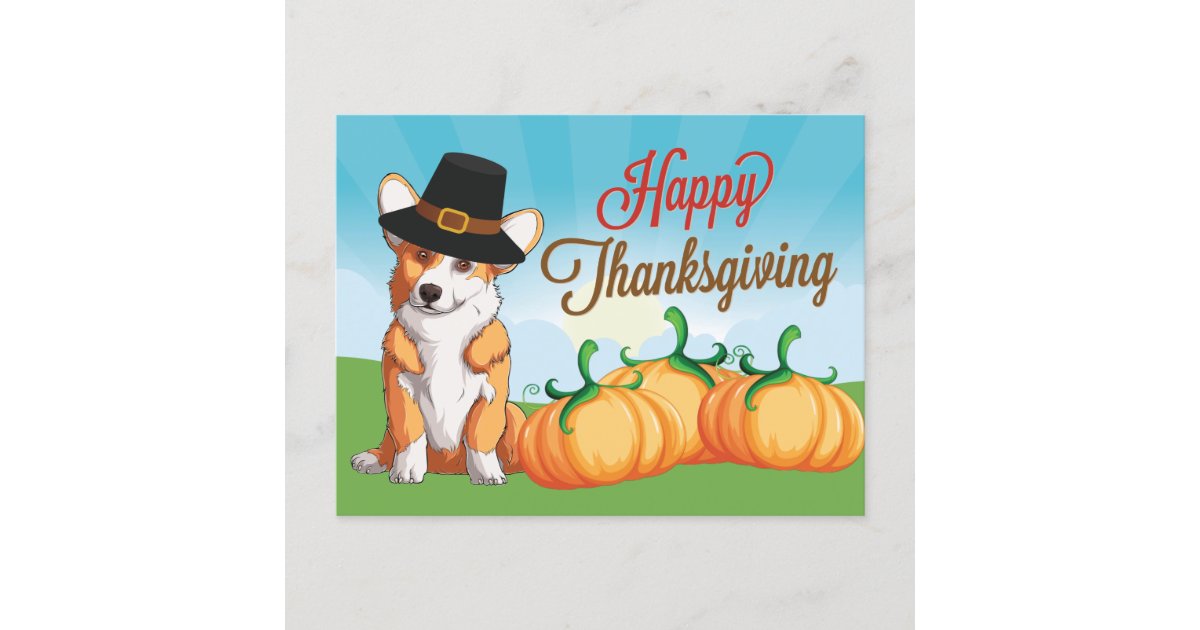 Cute Corgi Thanksgiving Postcard | Zazzle