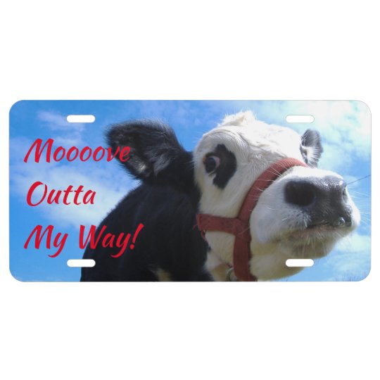 Cute Cow License Plate | Zazzle.com