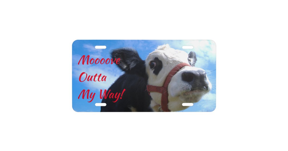 Cute Cow License Plate | Zazzle