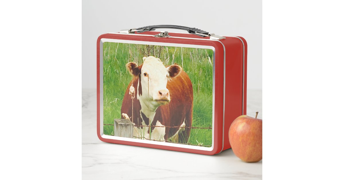 Cute Cuddly Cow 4Caley Metal Lunch Box | Zazzle