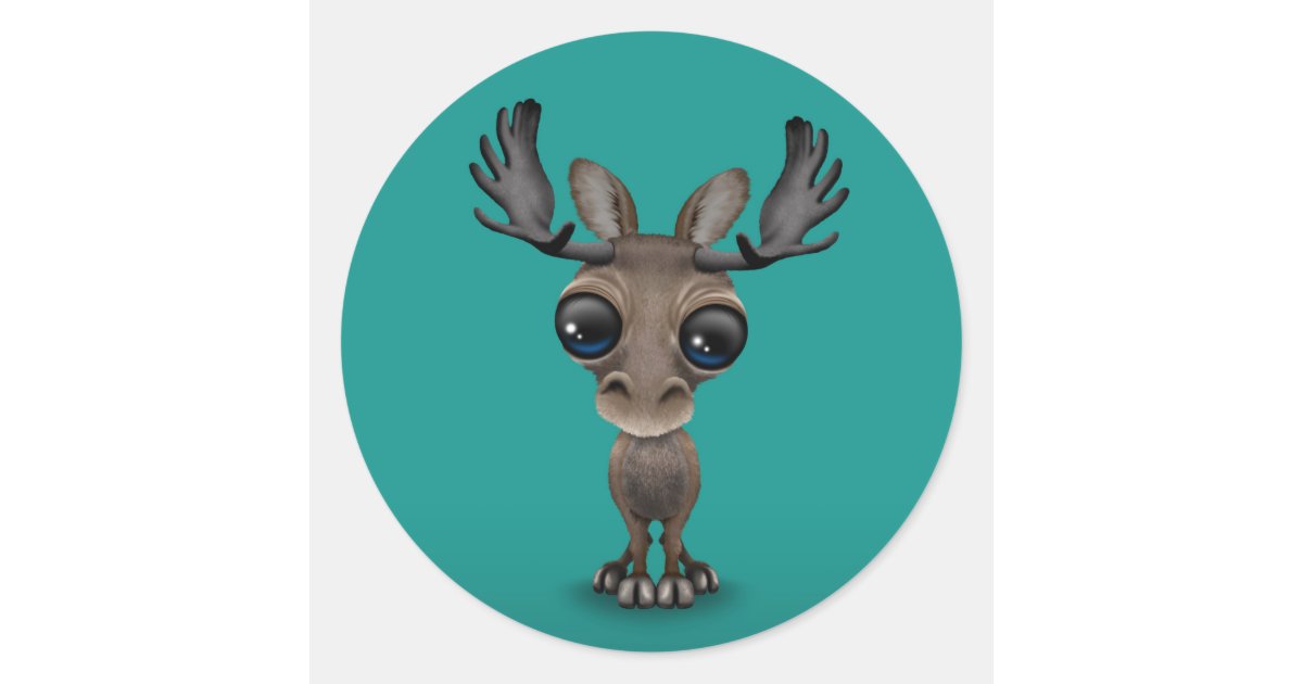 Cute Curious Moose with Big Eyes on Turquoise Classic Round Sticker ...