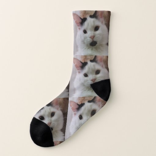 Cute Custom Cat Photo Socks | Zazzle