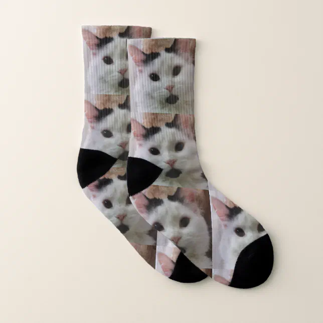 Cute Custom Cat Photo Socks | Zazzle
