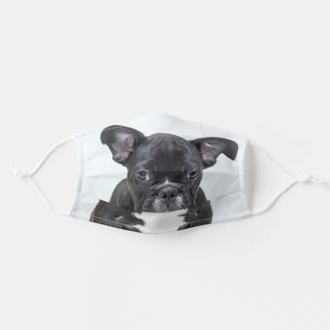 Cute Custom Dog Photo Adult Cloth Face Mask | Zazzle