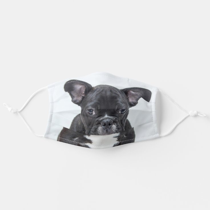 Cute Custom Dog Photo Adult Cloth Face Mask | Zazzle