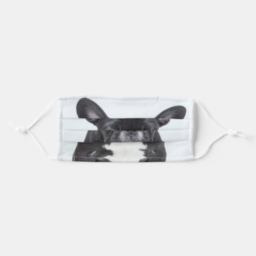Cute Custom Dog Photo Adult Cloth Face Mask | Zazzle