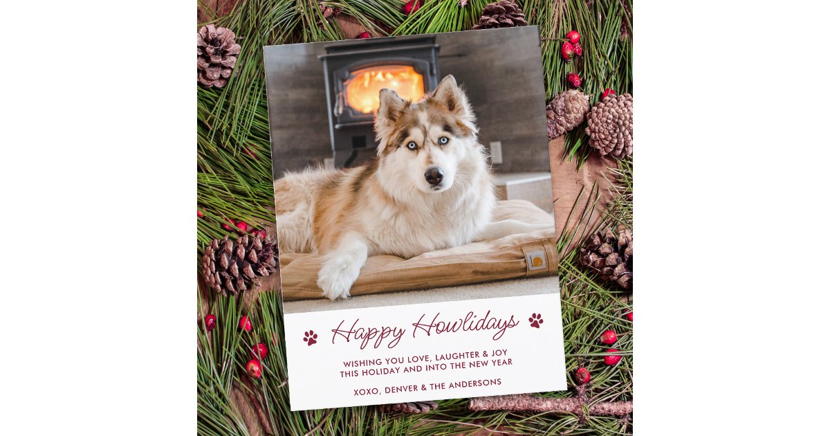 Cute Custom Pet Photo Happy Holidays From The Dog Holiday Postcard | Zazzle