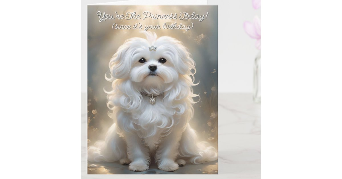 Cute Custom Princess Maltese Dog Birthday Card | Zazzle
