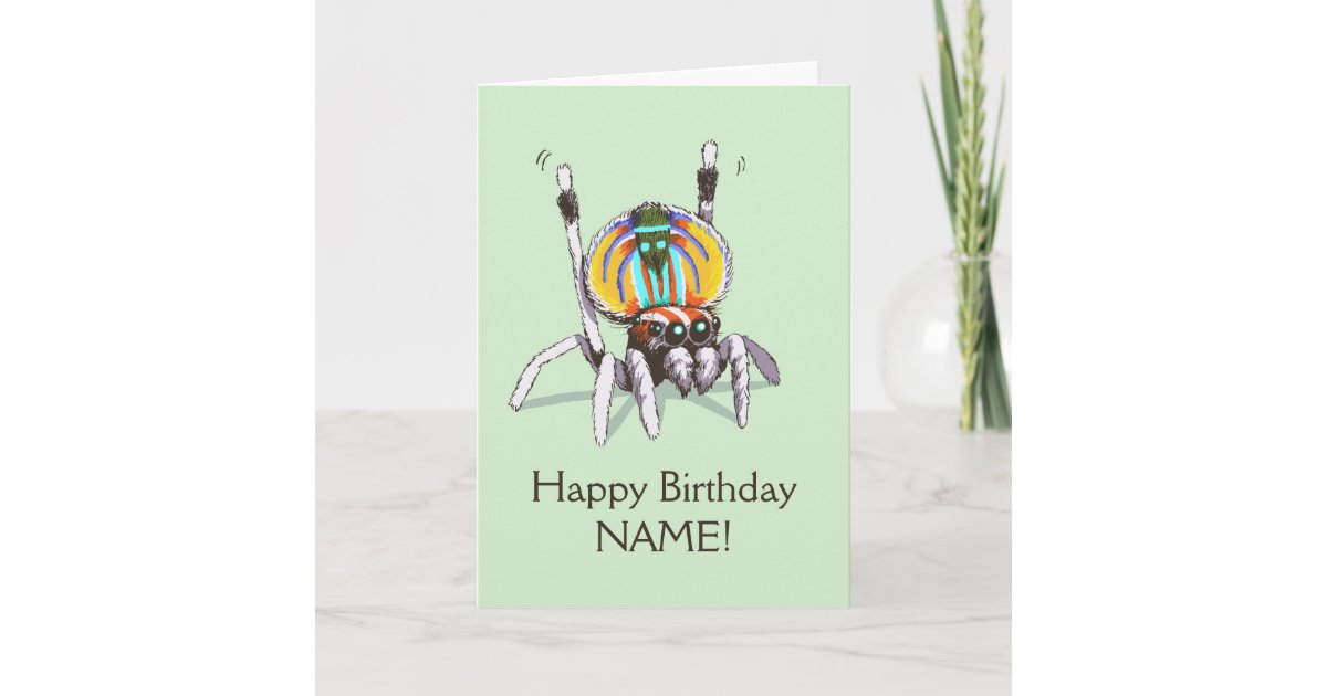 Cute Customised Peacock Spider Happy Birthday Card | Zazzle