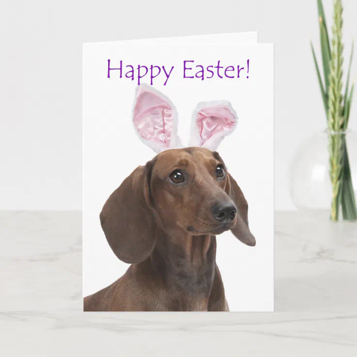 Cute Dachshund Easter Card | Zazzle