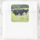 Cute Dairy Cow out at Pasture Farm Stickers | Zazzle