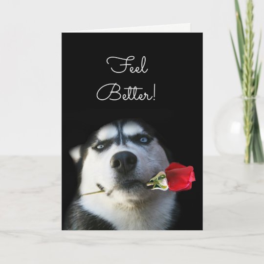 Cute Dog and Flower Feel Better Get Well Card | Zazzle.com