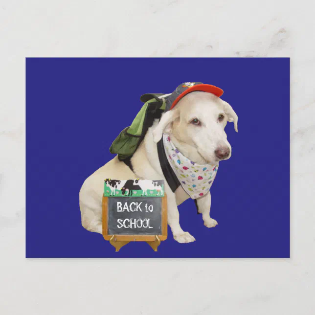 Cute Dog Funny Back to School Postcard | Zazzle