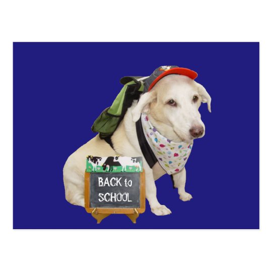Cute Dog Funny Back to School Postcard | Zazzle.com