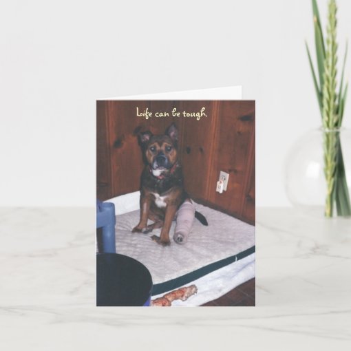 Cute Dog Get Well/Broken Leg Card | Zazzle