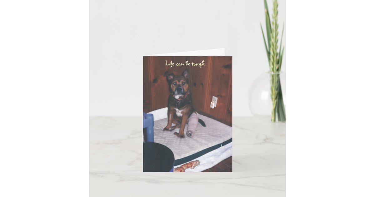 Cute Dog Get Well/Broken Leg Card | Zazzle