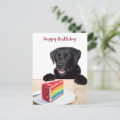 Cute Dog Happy Birthday - Black Labrador Retriever Postcard | Zazzle