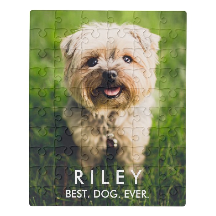 Cute Dog Personalized Pet Photo Custom Jigsaw Puzzle | Zazzle.com