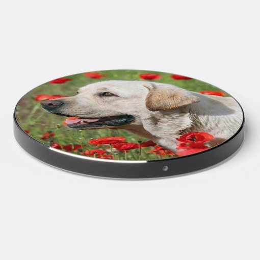 Cute Dog Personalized Simple Pet Photo Wireless Charger | Zazzle