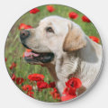 Cute Dog Personalized Simple Pet Photo Wireless Charger | Zazzle