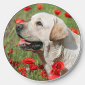 Cute Dog Personalized Simple Pet Photo Wireless Charger | Zazzle