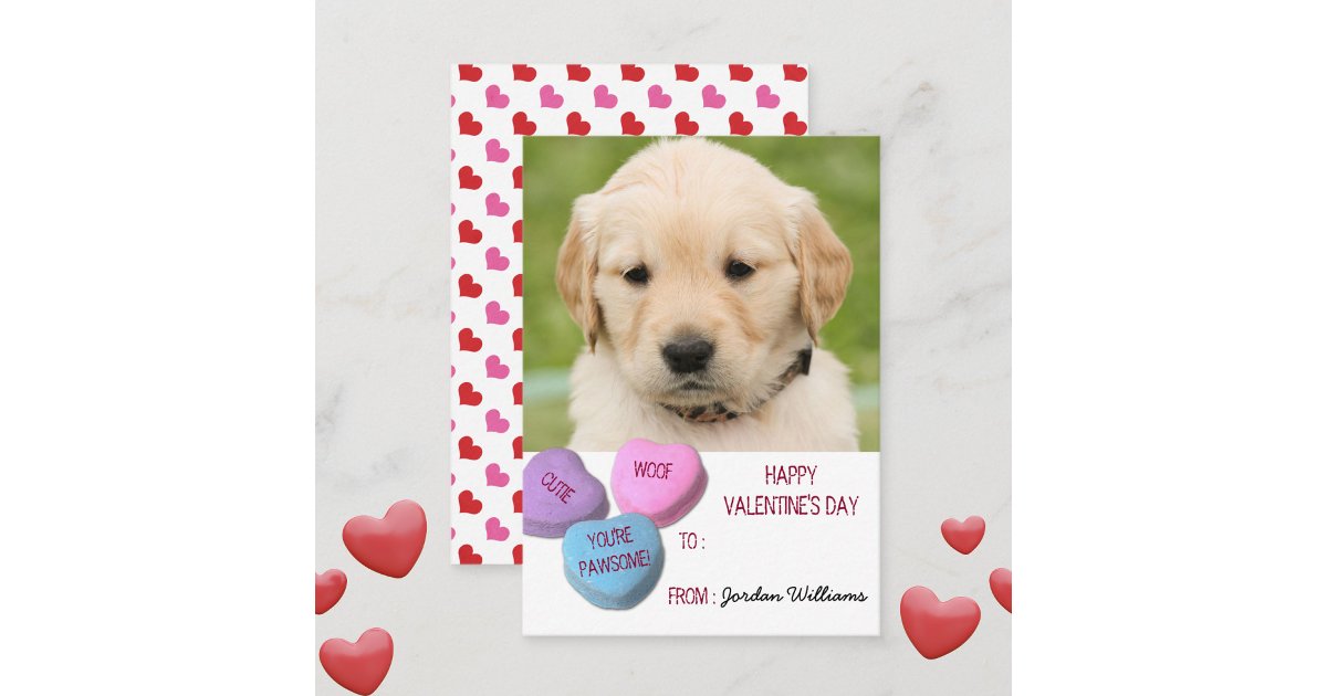 Cute Dog Photo Classroom Valentine Candy Hearts Note Card | Zazzle